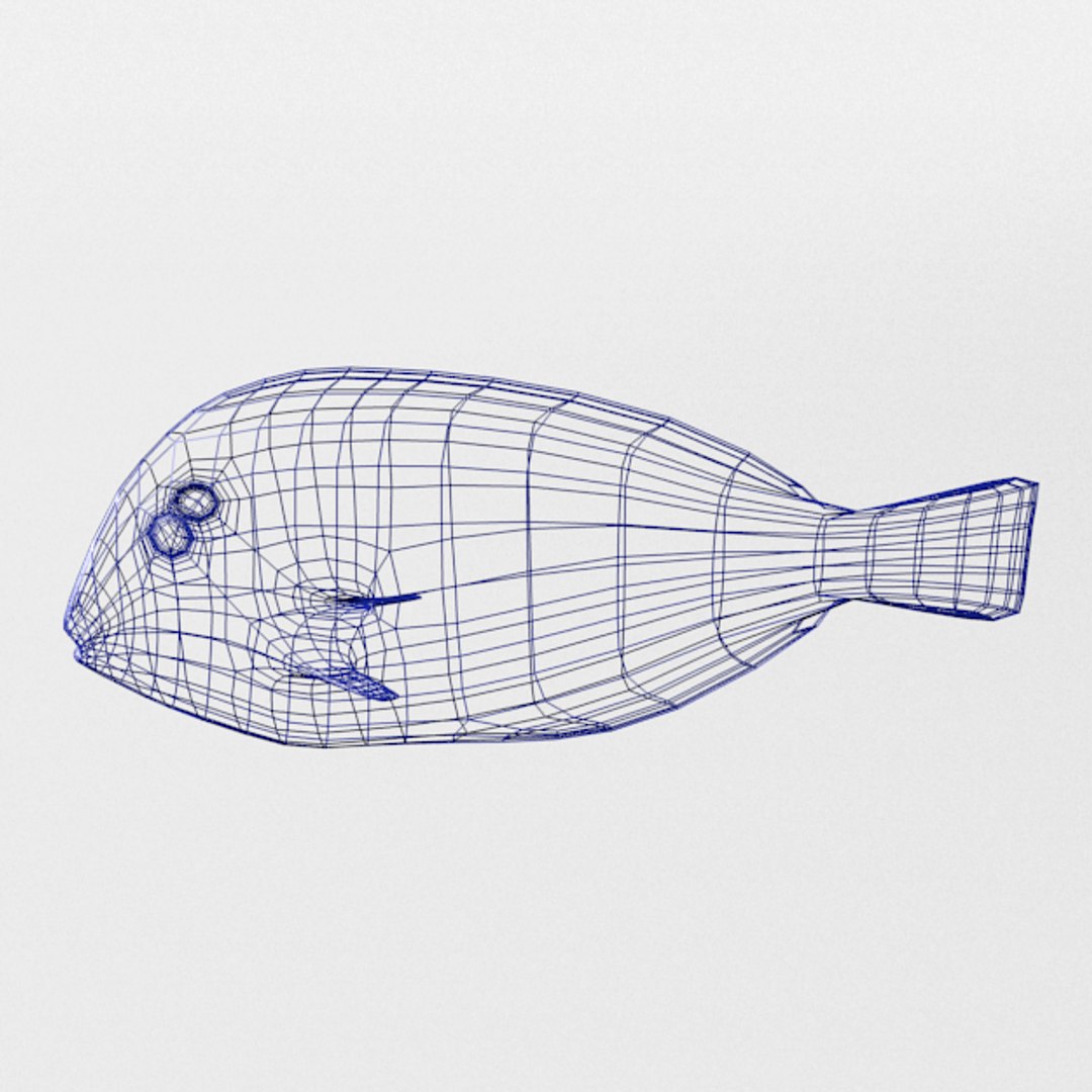 3D Model Surgeonfish - TurboSquid 1316816