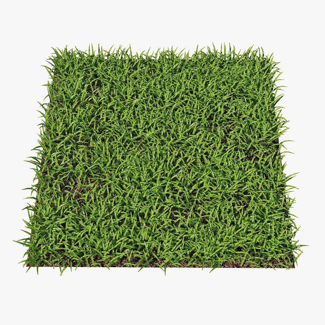 3d Grass