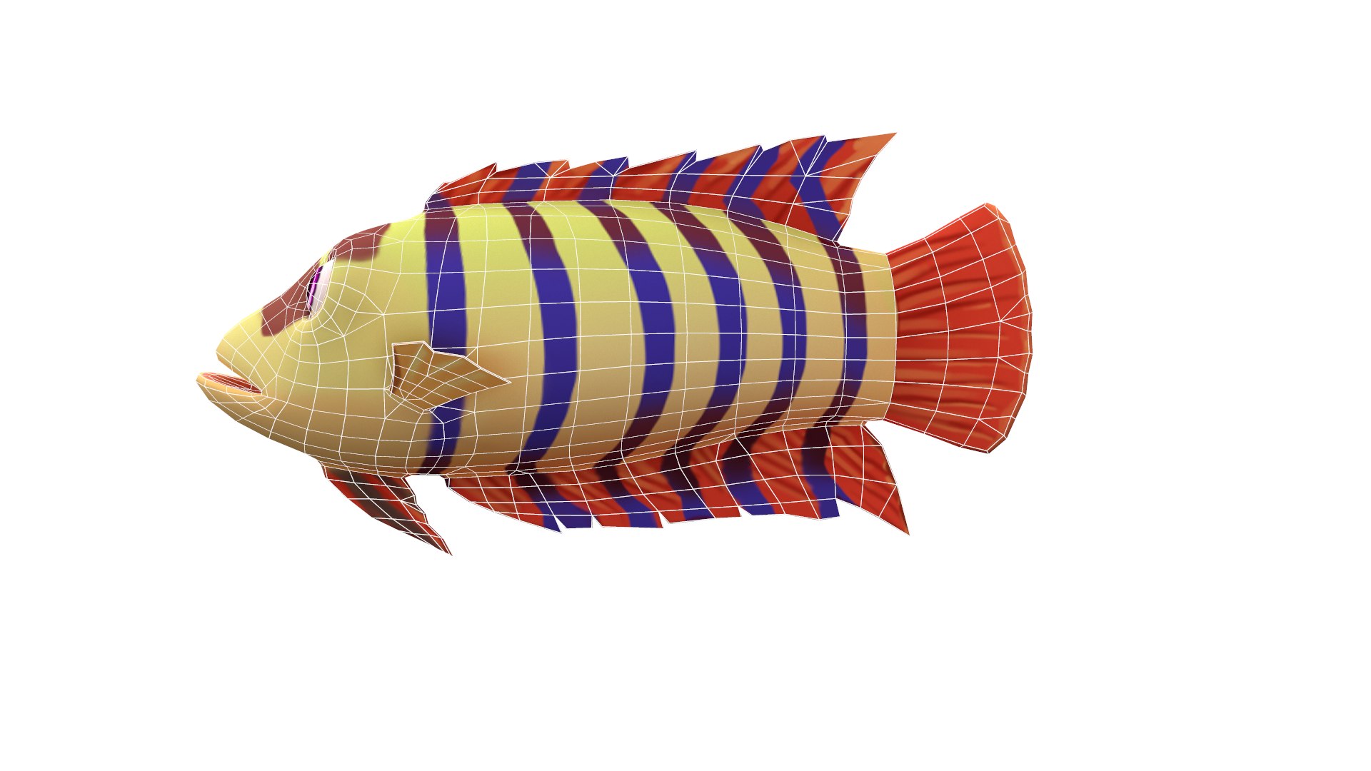 3D Ornate Climbing Perch Fish Toon - TurboSquid 1586333