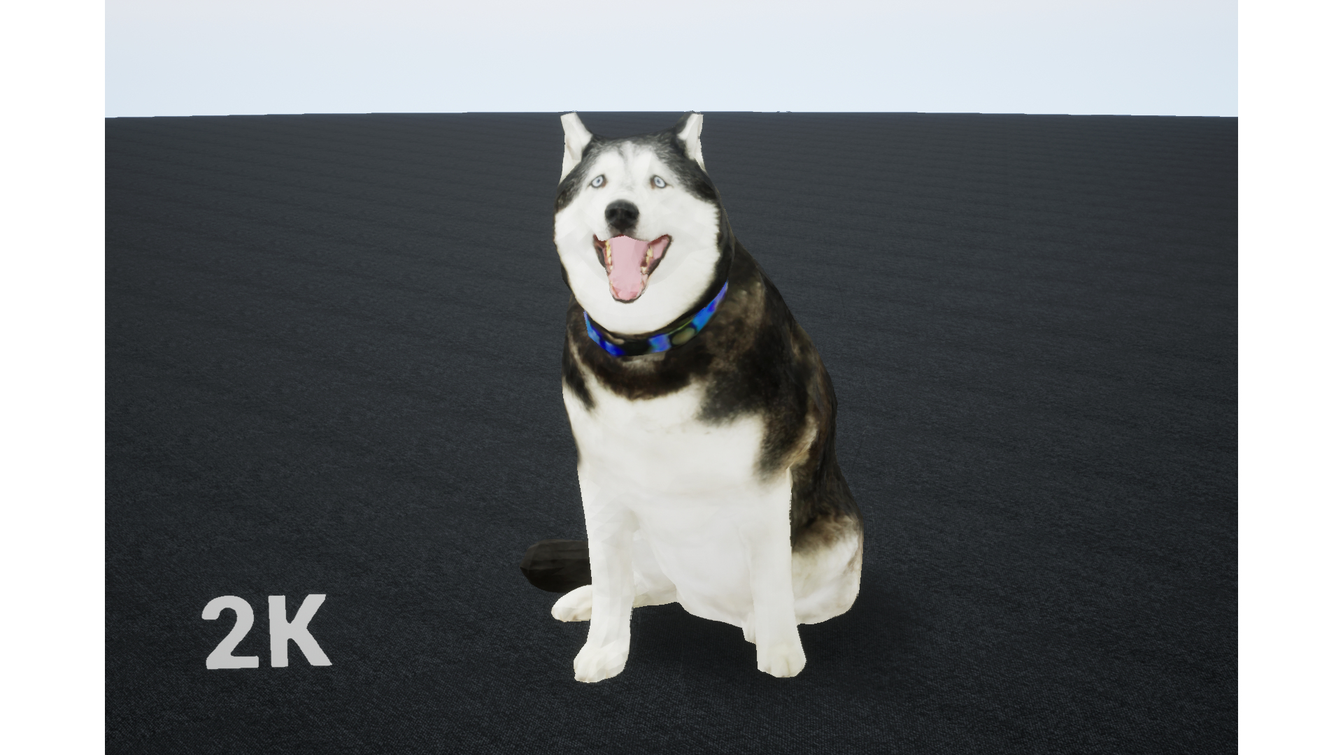 Husky Scan In Low And High Poly 3D - TurboSquid 1864610