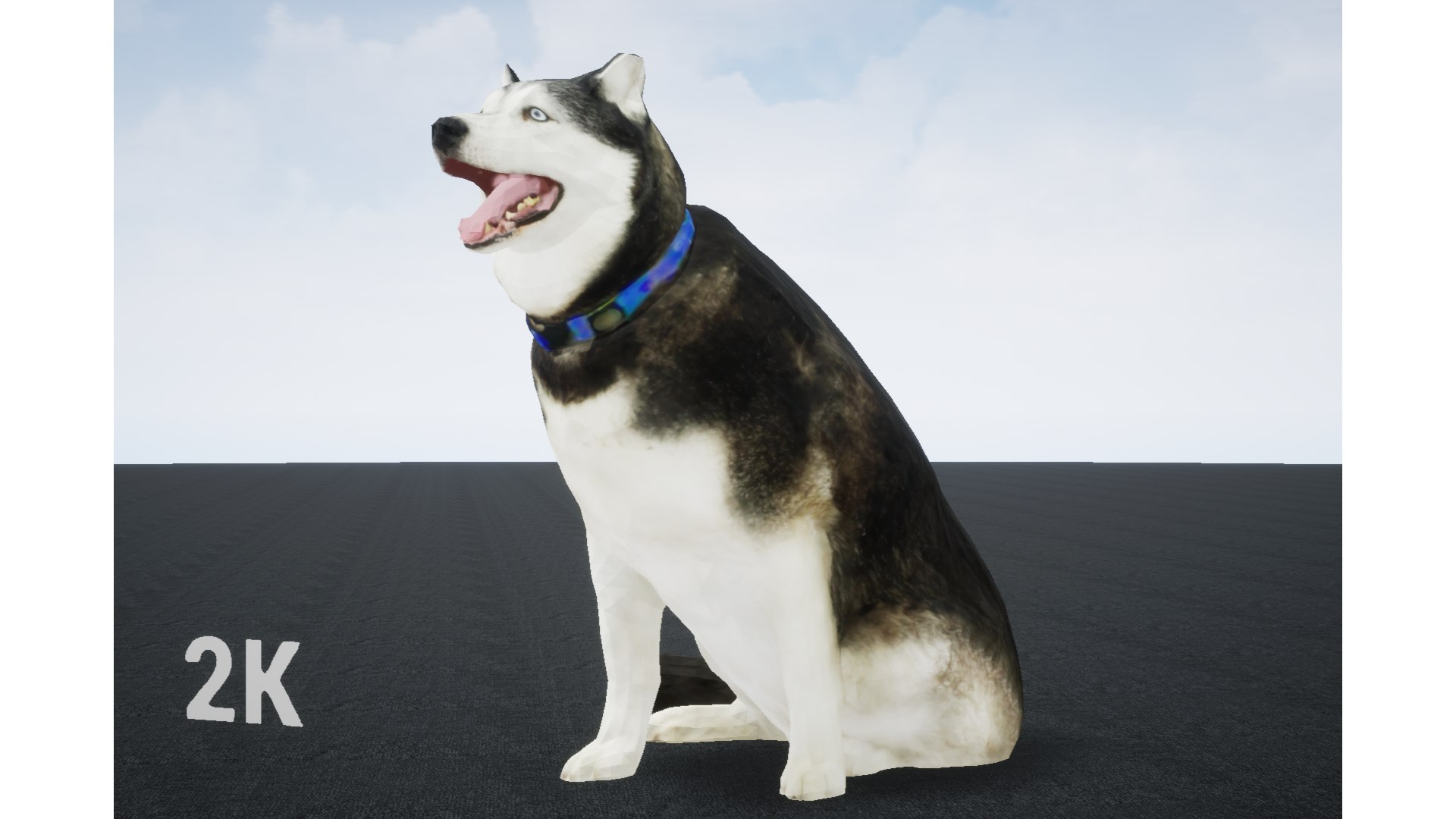 Husky Scan In Low And High Poly 3D - TurboSquid 1864610