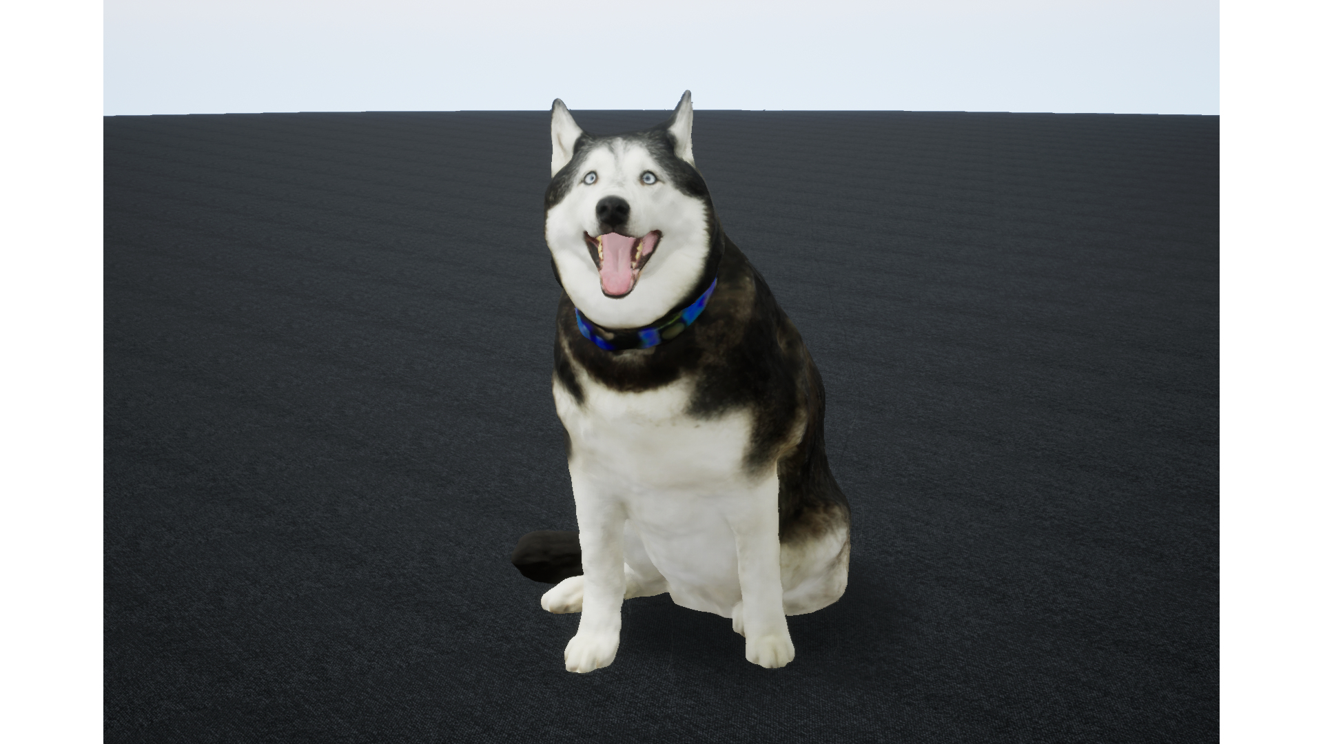 Husky Scan In Low And High Poly 3D - TurboSquid 1864610