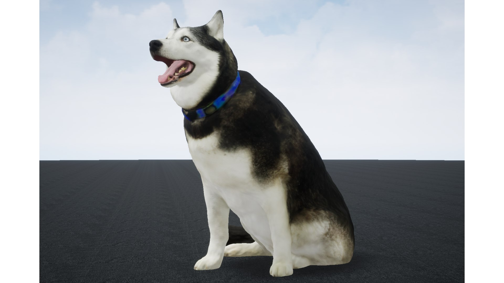 Husky scan in low and high poly 3D - TurboSquid 1864610