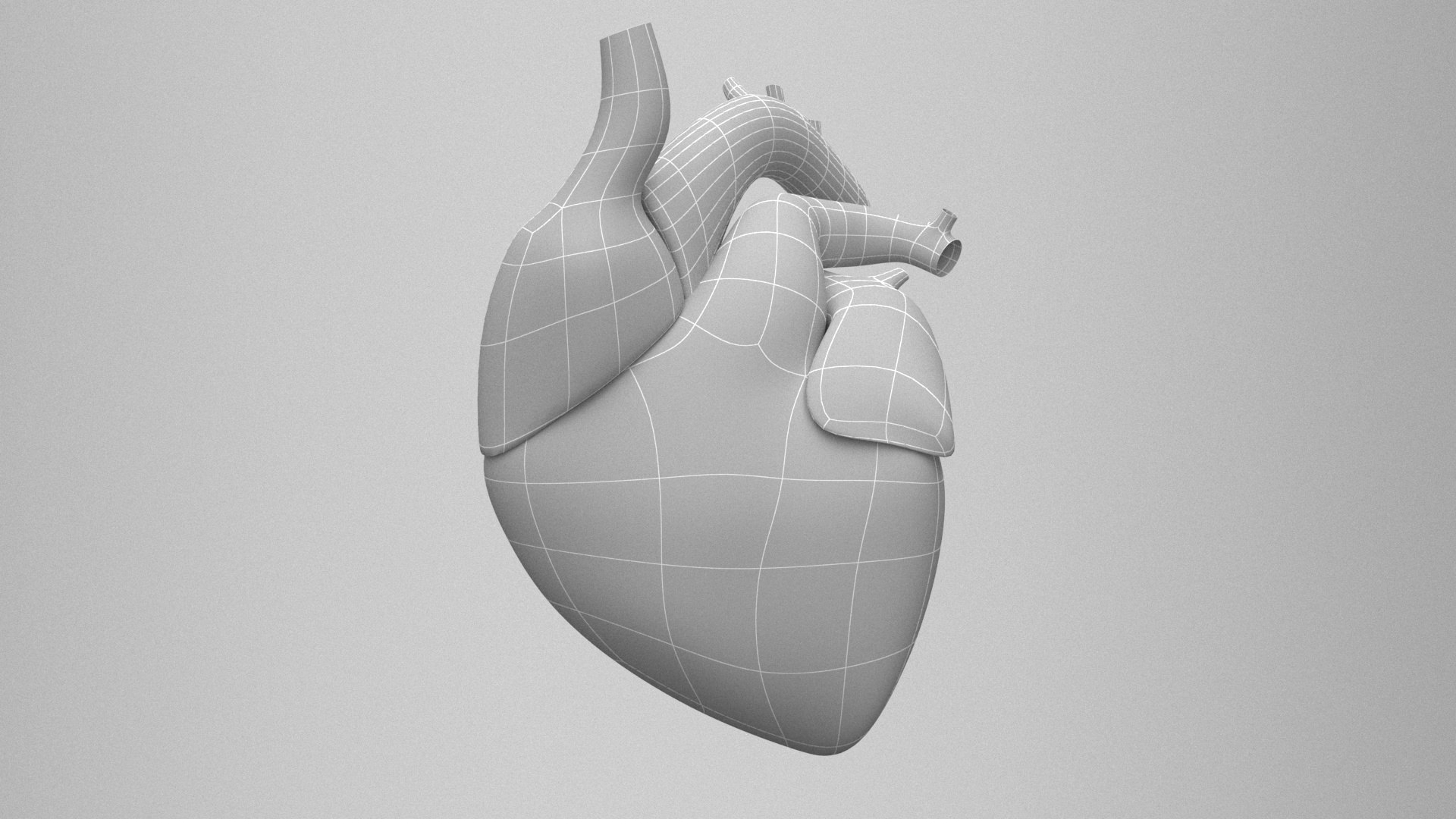 3D Human Heart - TurboSquid 1681181