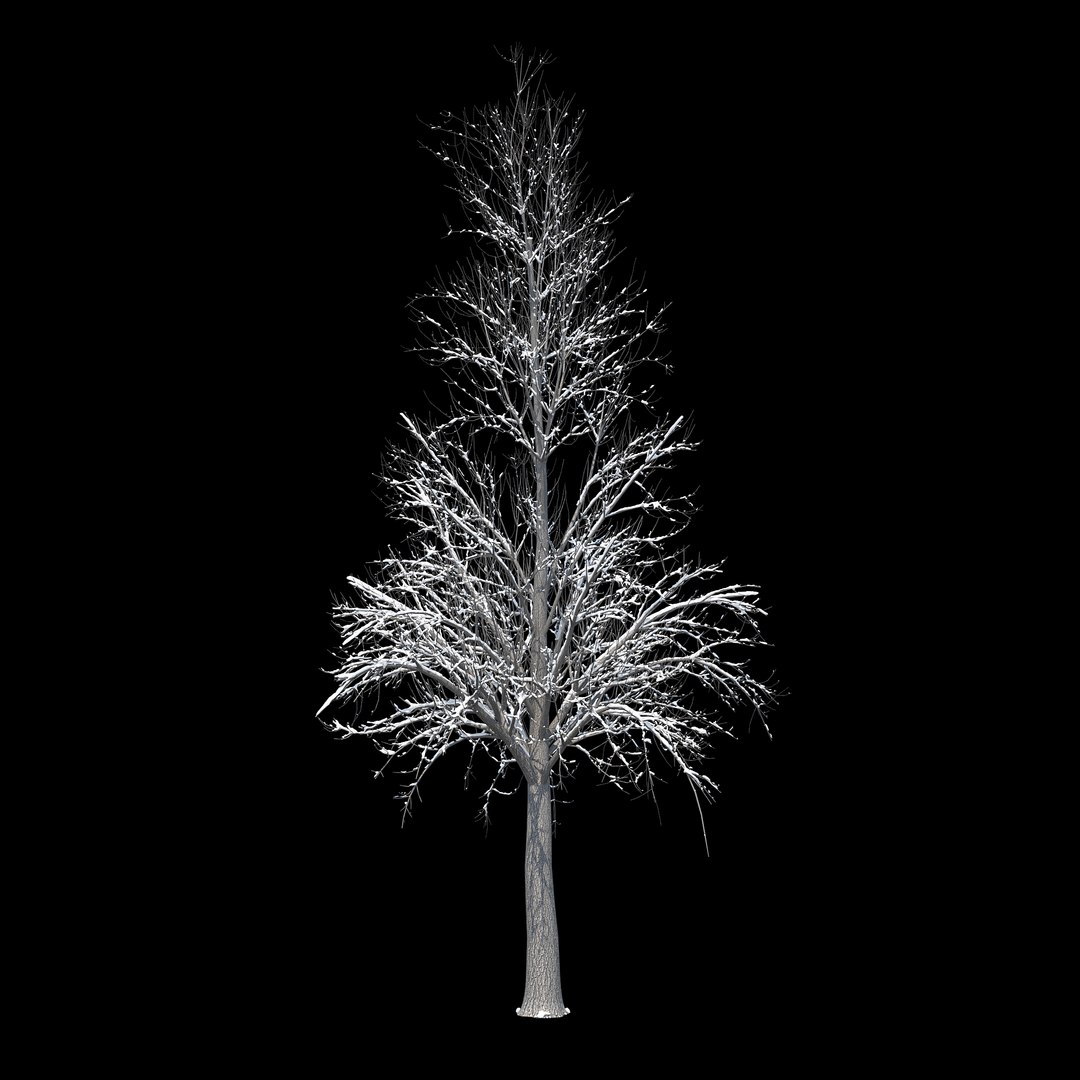 3D winter tree 032 snow model - TurboSquid 1236918