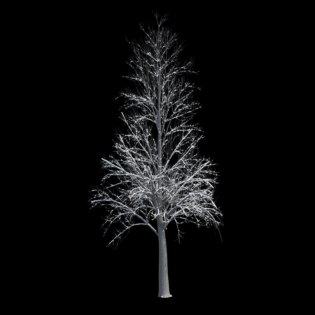 3D winter tree 032 snow model - TurboSquid 1236918