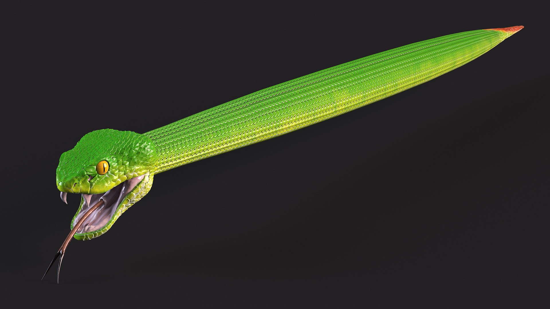 3D Green Trimeresurus Snake - TurboSquid 2107156