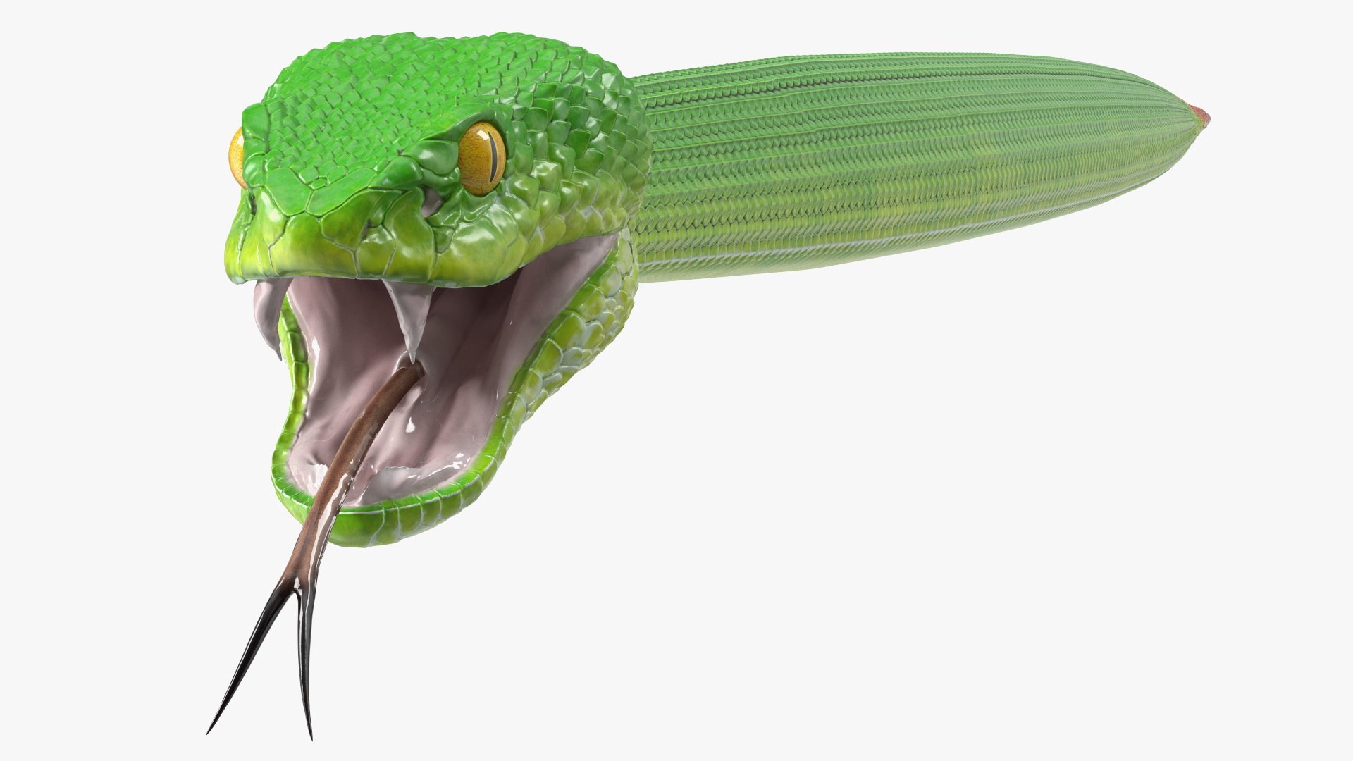 3D Green Trimeresurus Snake - TurboSquid 2107156