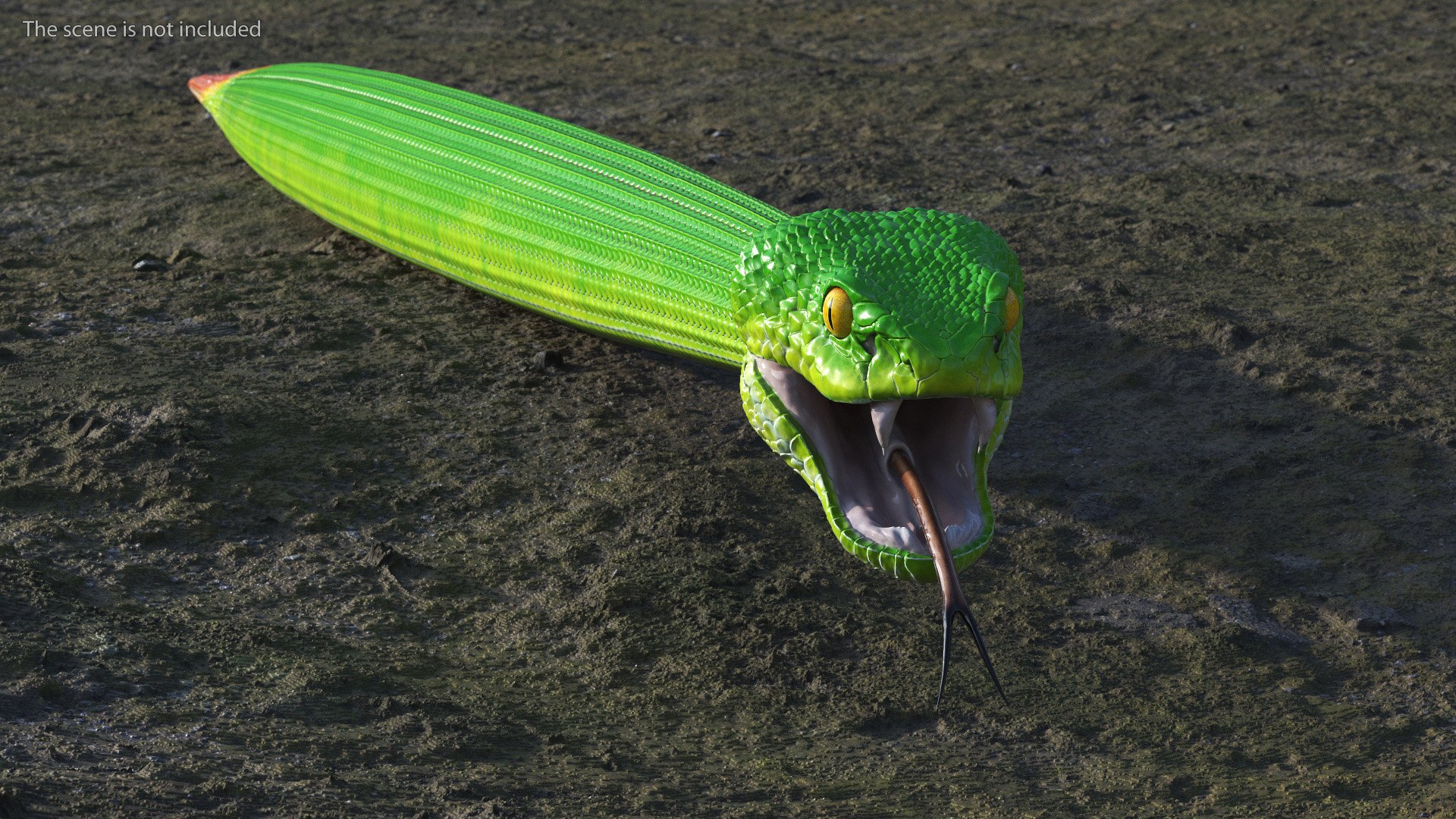 3D Green Trimeresurus Snake - TurboSquid 2107156