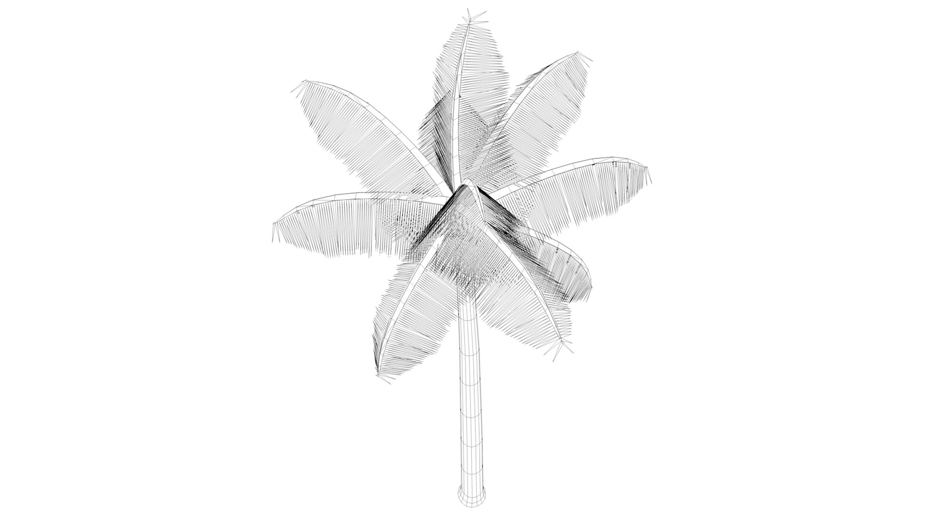 3d Model Palm Tree