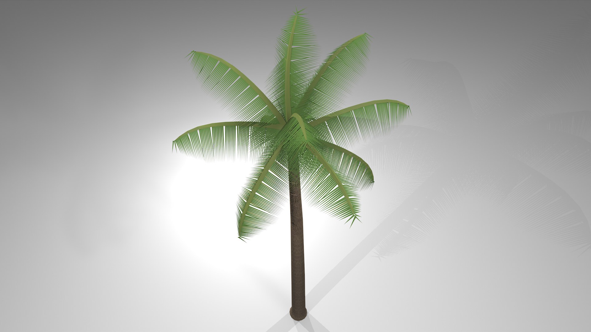 3d Model Palm Tree