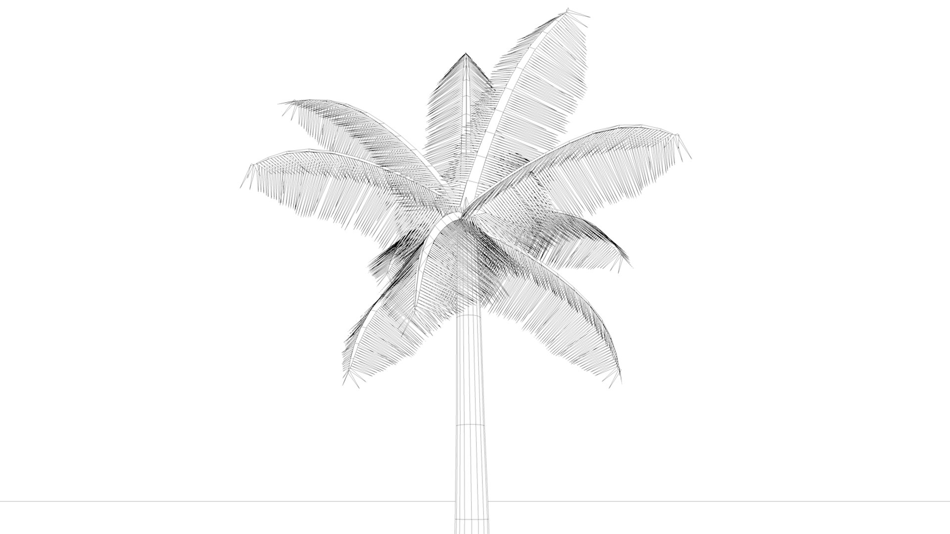 3d Model Palm Tree