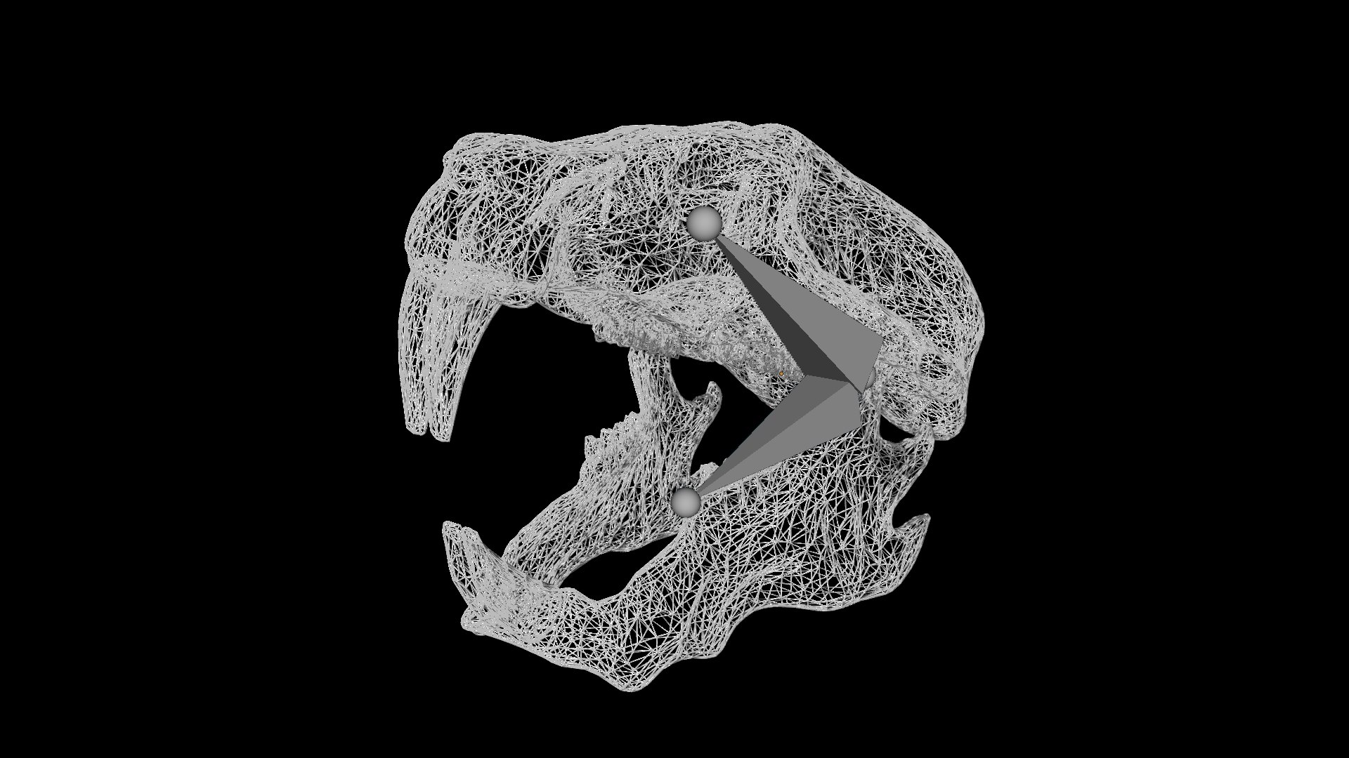 Rigged Rat Skull 3D Model - TurboSquid 1859085