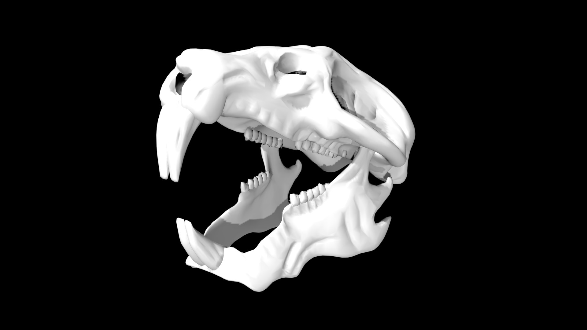 Rigged Rat Skull 3D Model - TurboSquid 1859085