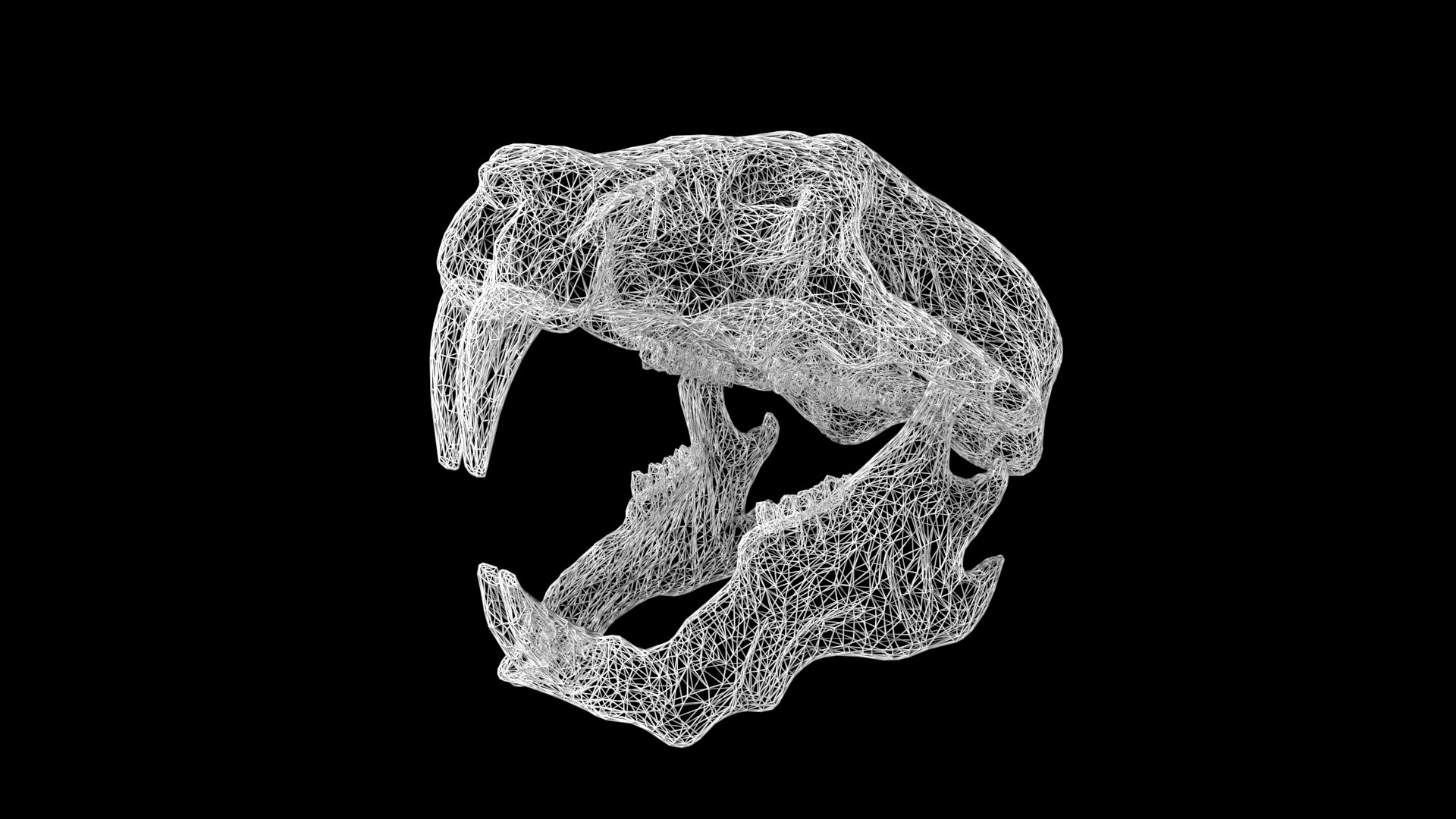 Rigged Rat Skull 3D Model - TurboSquid 1859085