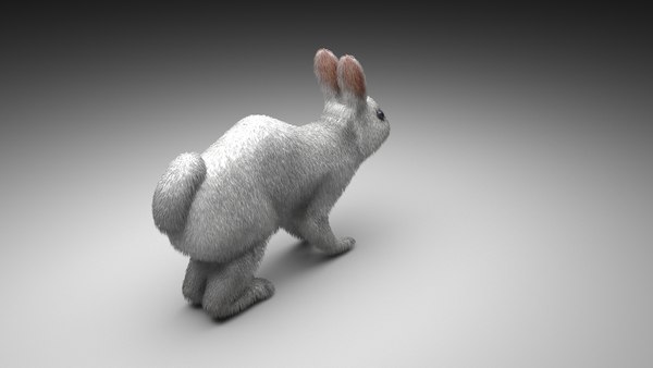 Rabbit 3D model - TurboSquid 1840843
