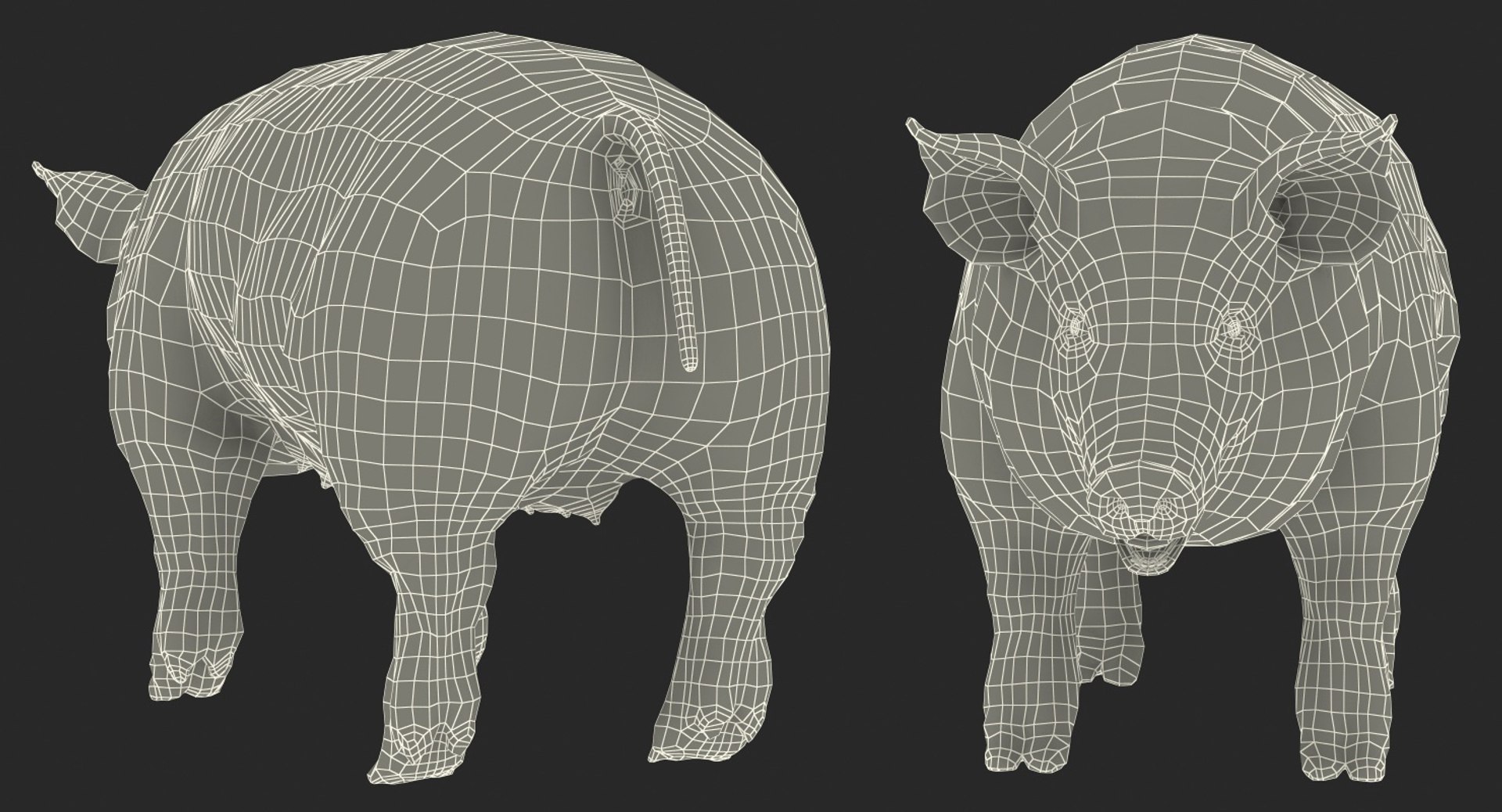 3D Model Pig Sow Peitrain Rigged - TurboSquid 1371732