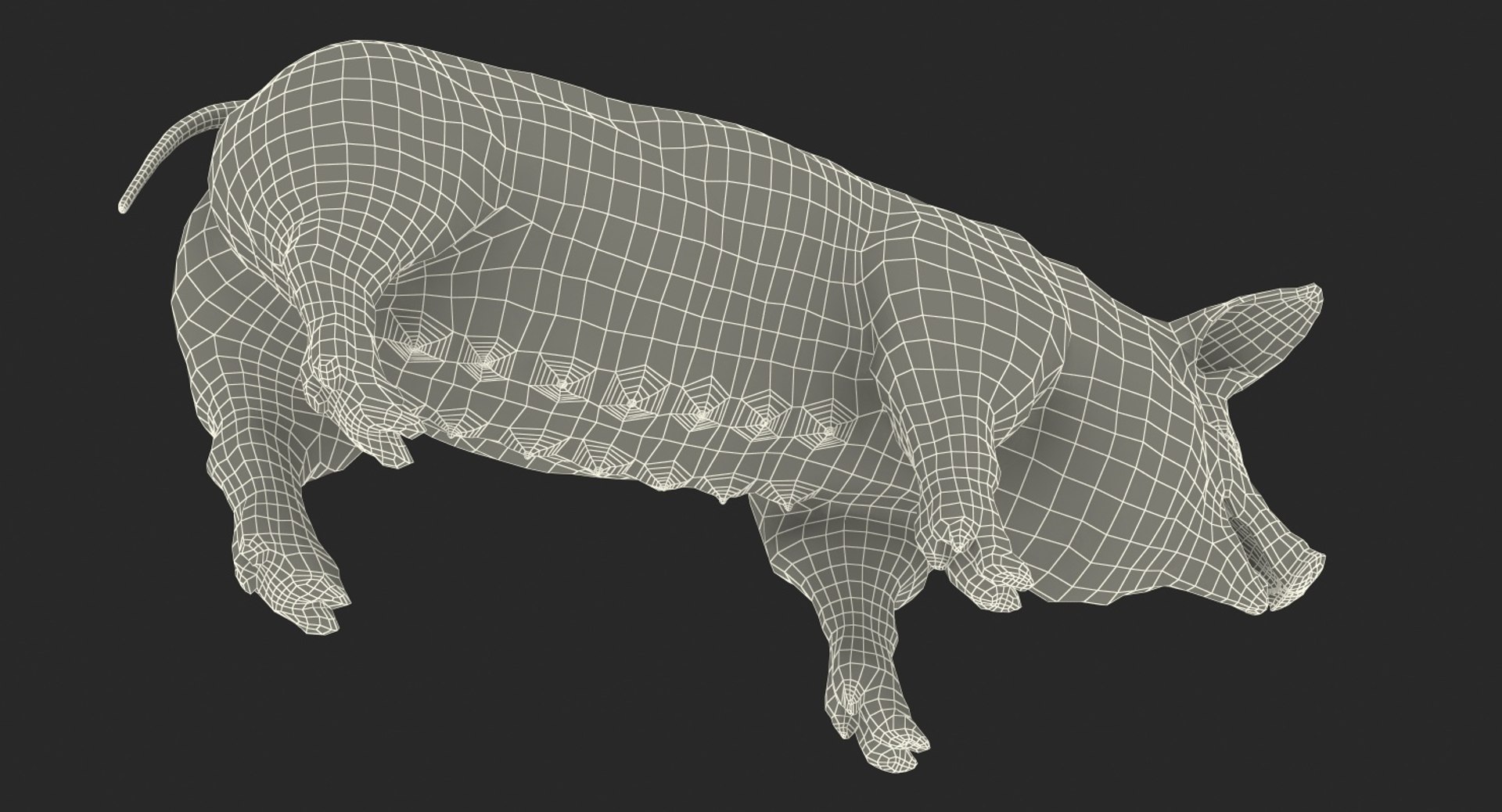 3D Model Pig Sow Peitrain Rigged - TurboSquid 1371732