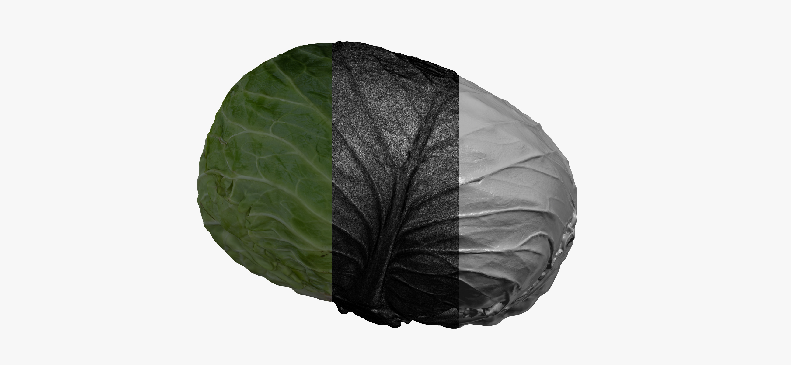 Cabbage 02 RAW Scan 3D model - TurboSquid 1862084