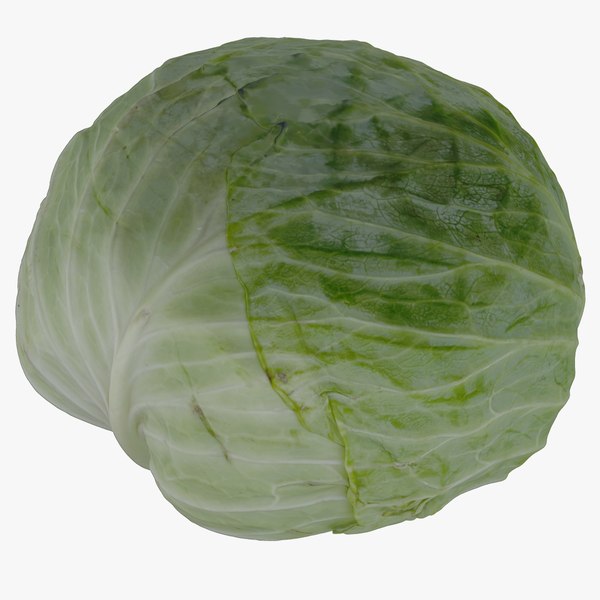 Cabbage 02 RAW Scan 3D model - TurboSquid 1862084