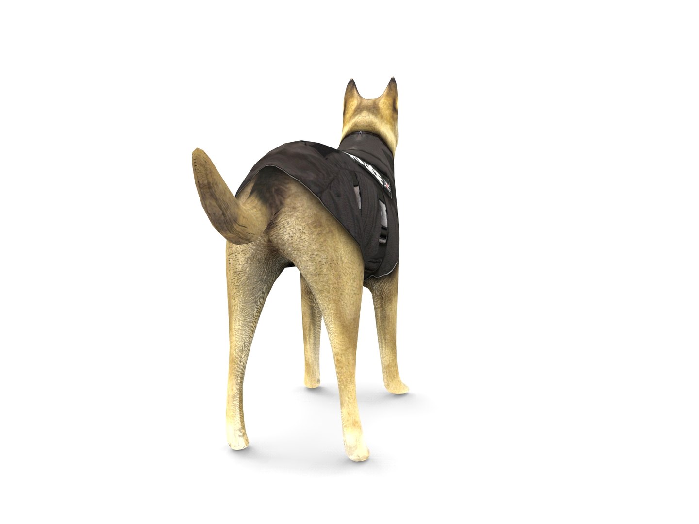 Police German Shepherd Dog 3D Model - TurboSquid 1195188