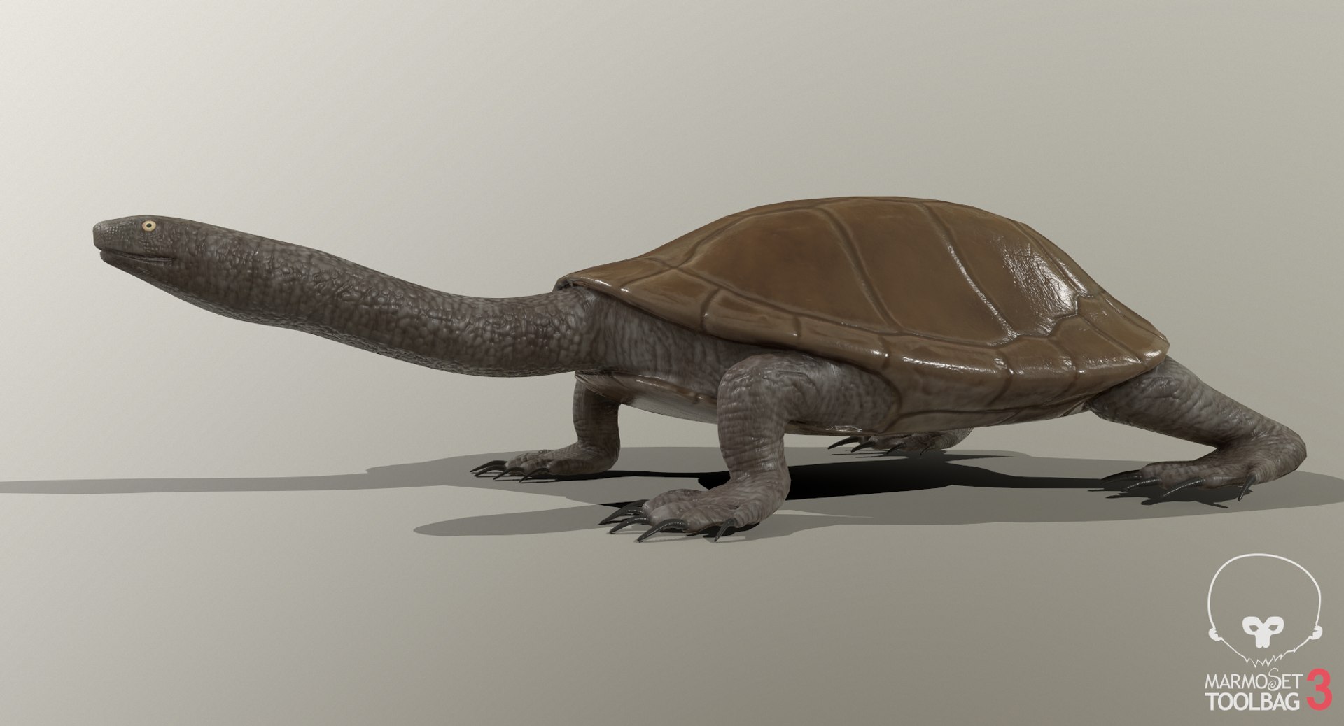 3D Model Snake Necked Turtle - TurboSquid 1331880