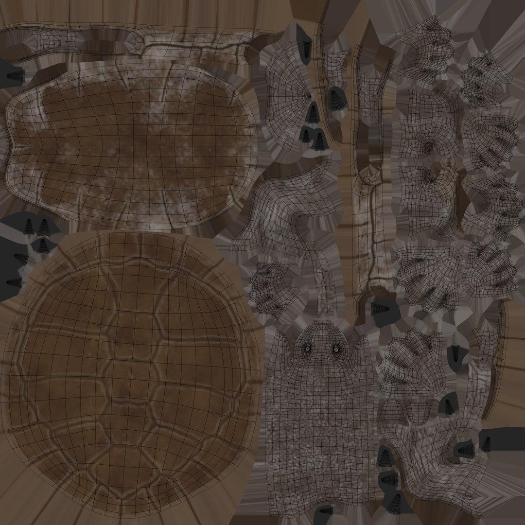 3D Model Snake Necked Turtle - TurboSquid 1331880