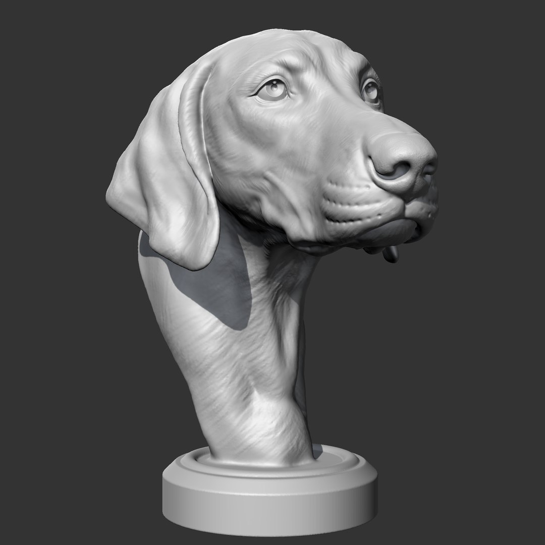 Weimaraner Head AM10 3D print model 3D - TurboSquid 2065460