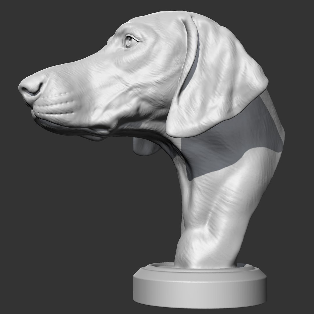 Weimaraner Head AM10 3D print model 3D - TurboSquid 2065460