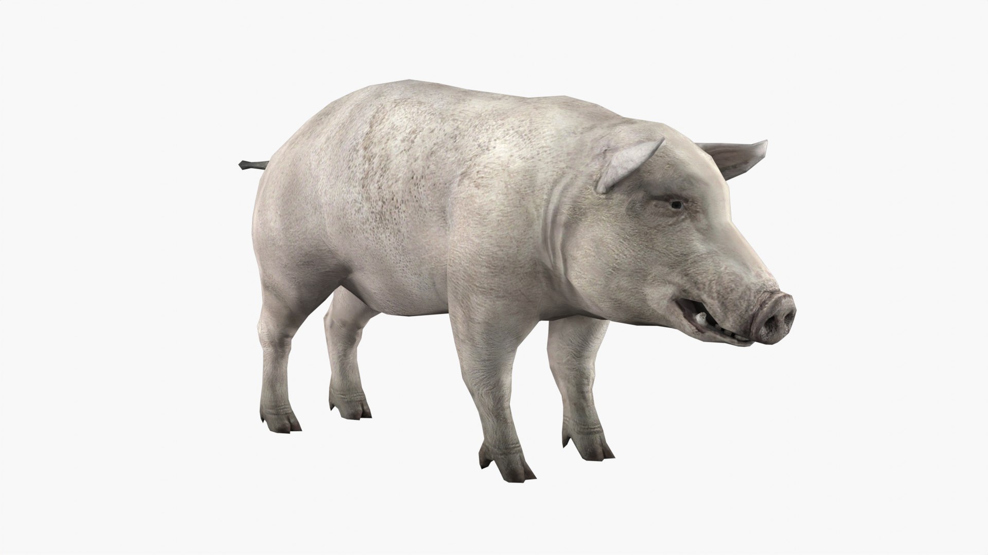 3D Pig Rigged - TurboSquid 2330002