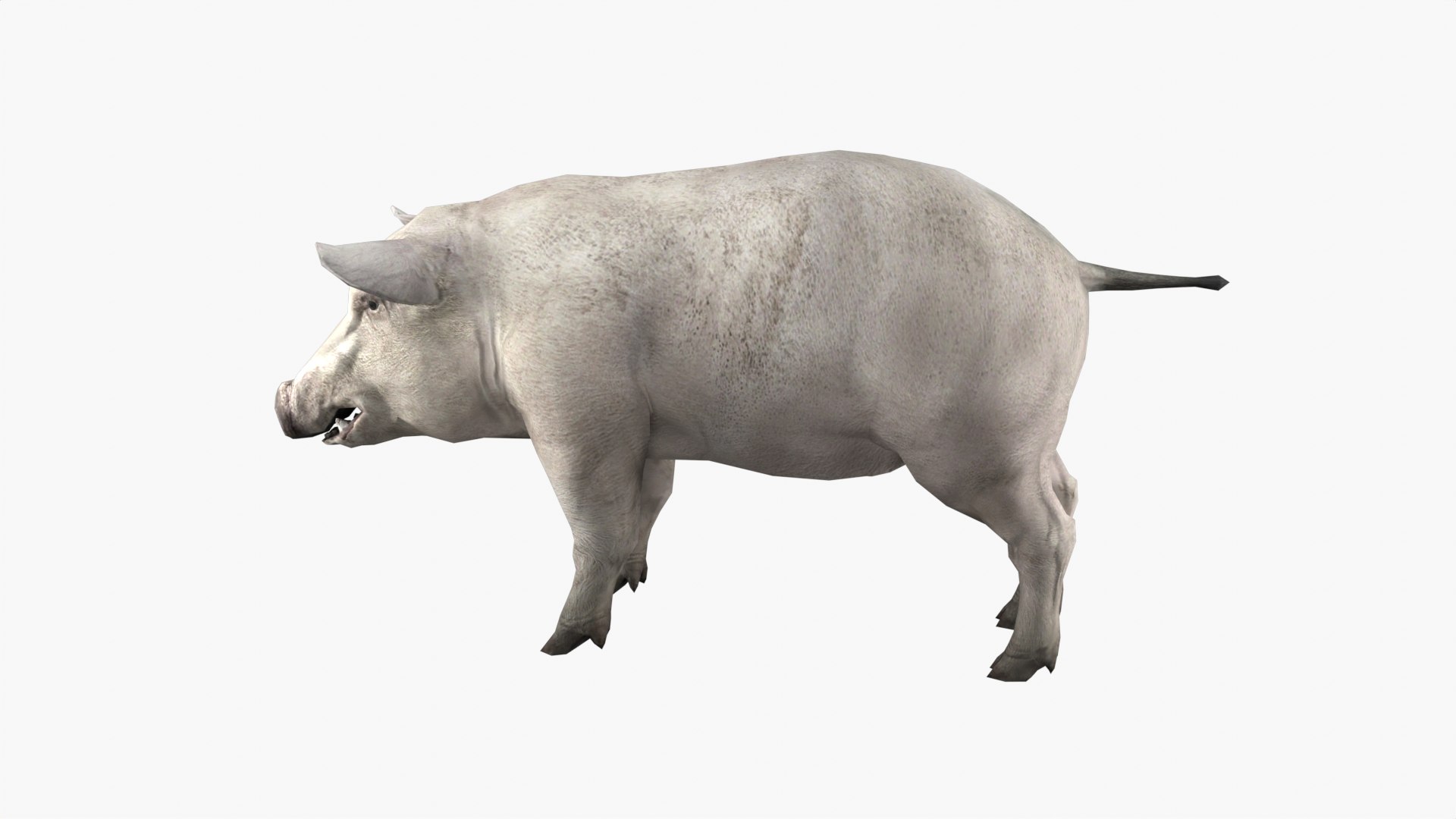 3D Pig Rigged - TurboSquid 2330002