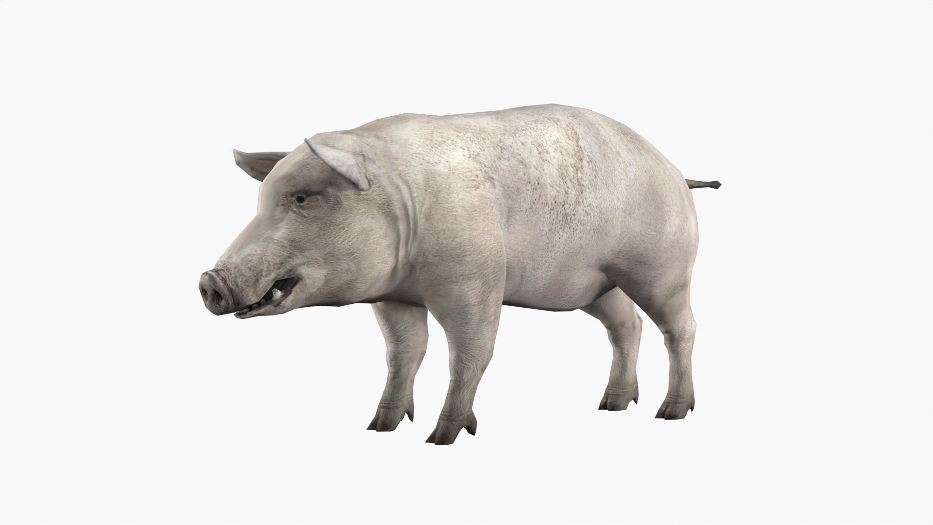 3D Pig Rigged - TurboSquid 2330002
