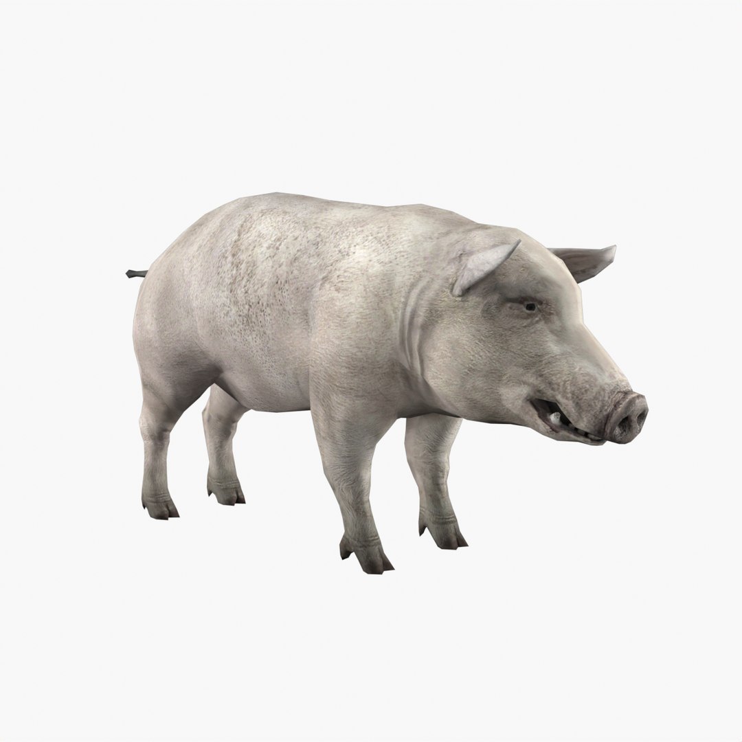 3D Pig Rigged - TurboSquid 2330002