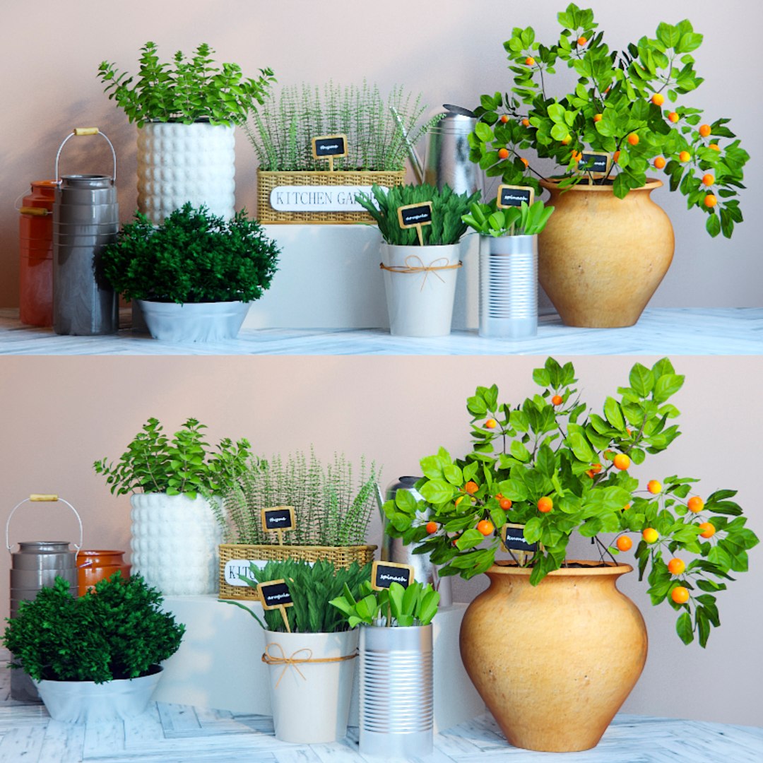 Kitchen Garden 3d Model