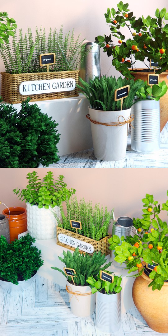 Kitchen Garden 3d Model