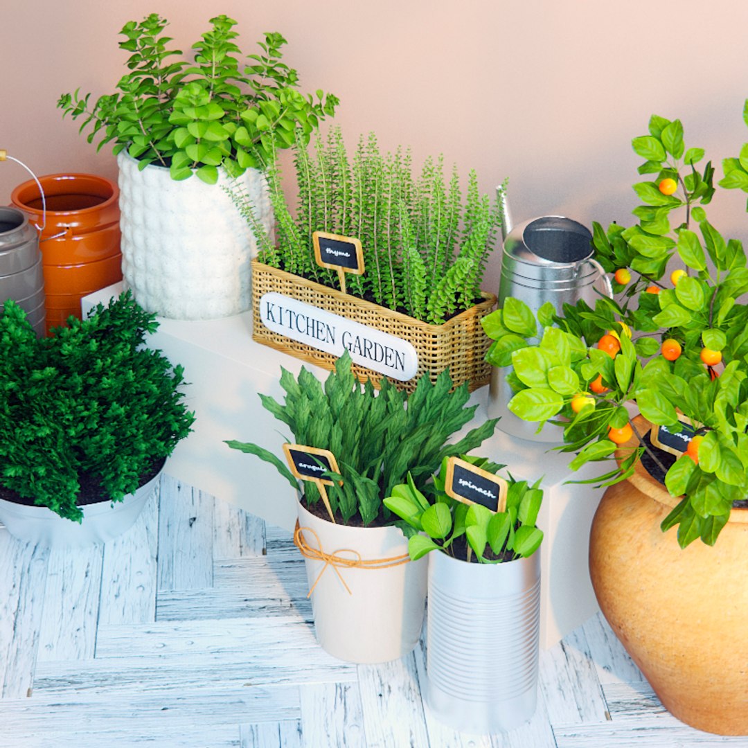 Kitchen Garden 3d Model