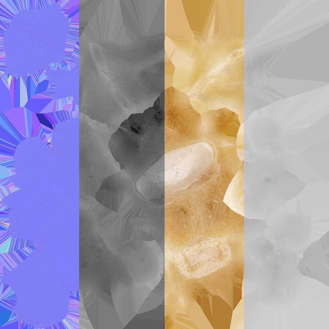 Kangaroo Red Necked Wallaby Cervical Vertebrae C5 3D Model - TurboSquid ...