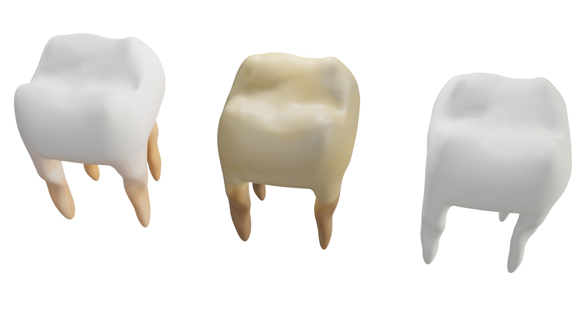 3D Molar Teeth - TurboSquid 2205597