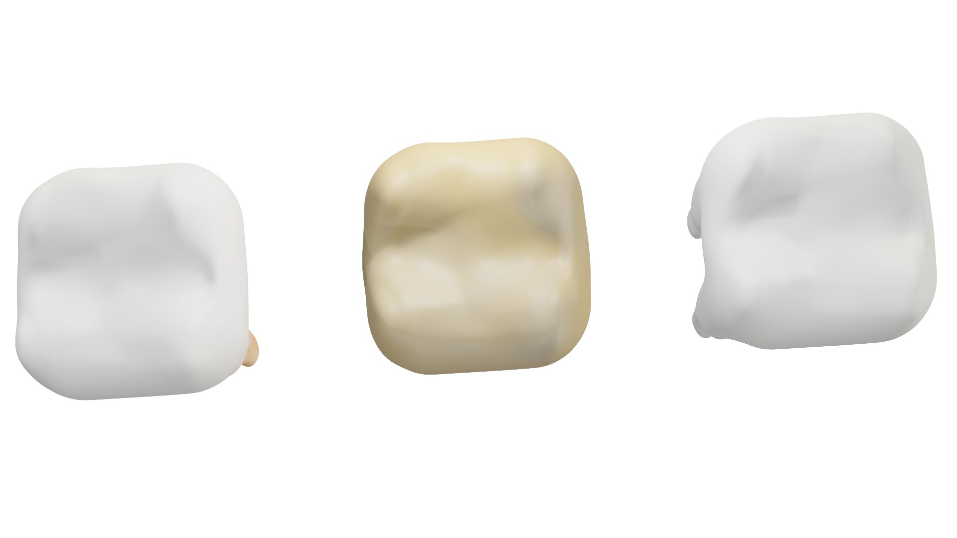 3D Molar Teeth - TurboSquid 2205597
