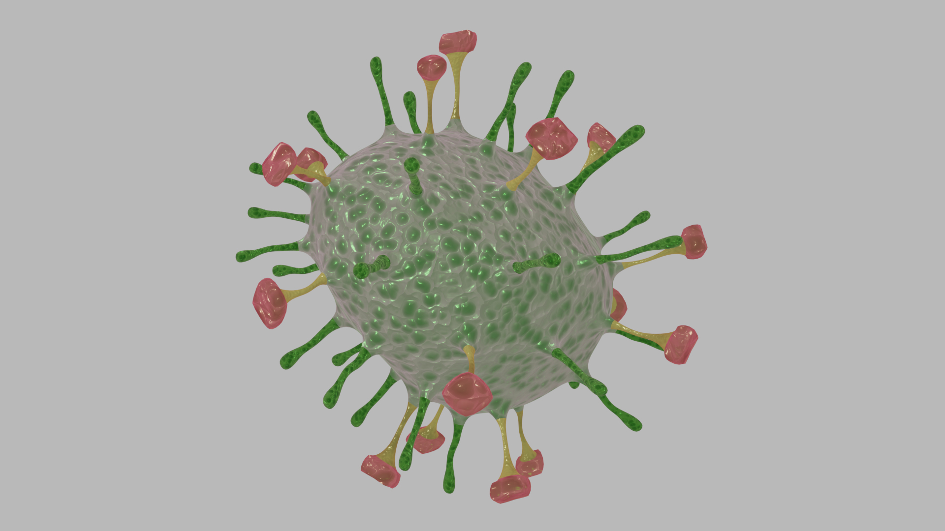 Nipah Virus 3D Model - TurboSquid 1696429