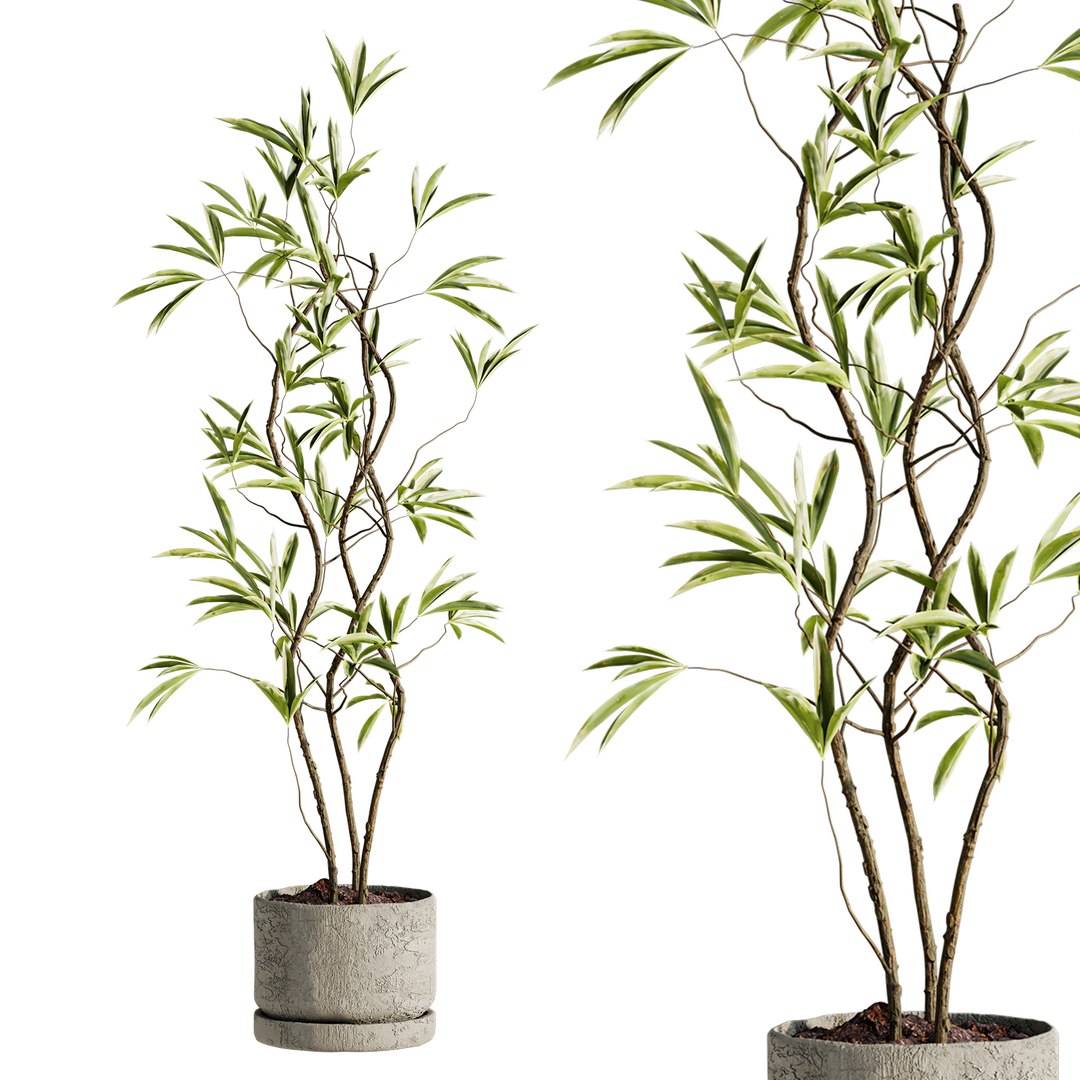 3D Plant - TurboSquid 2361548