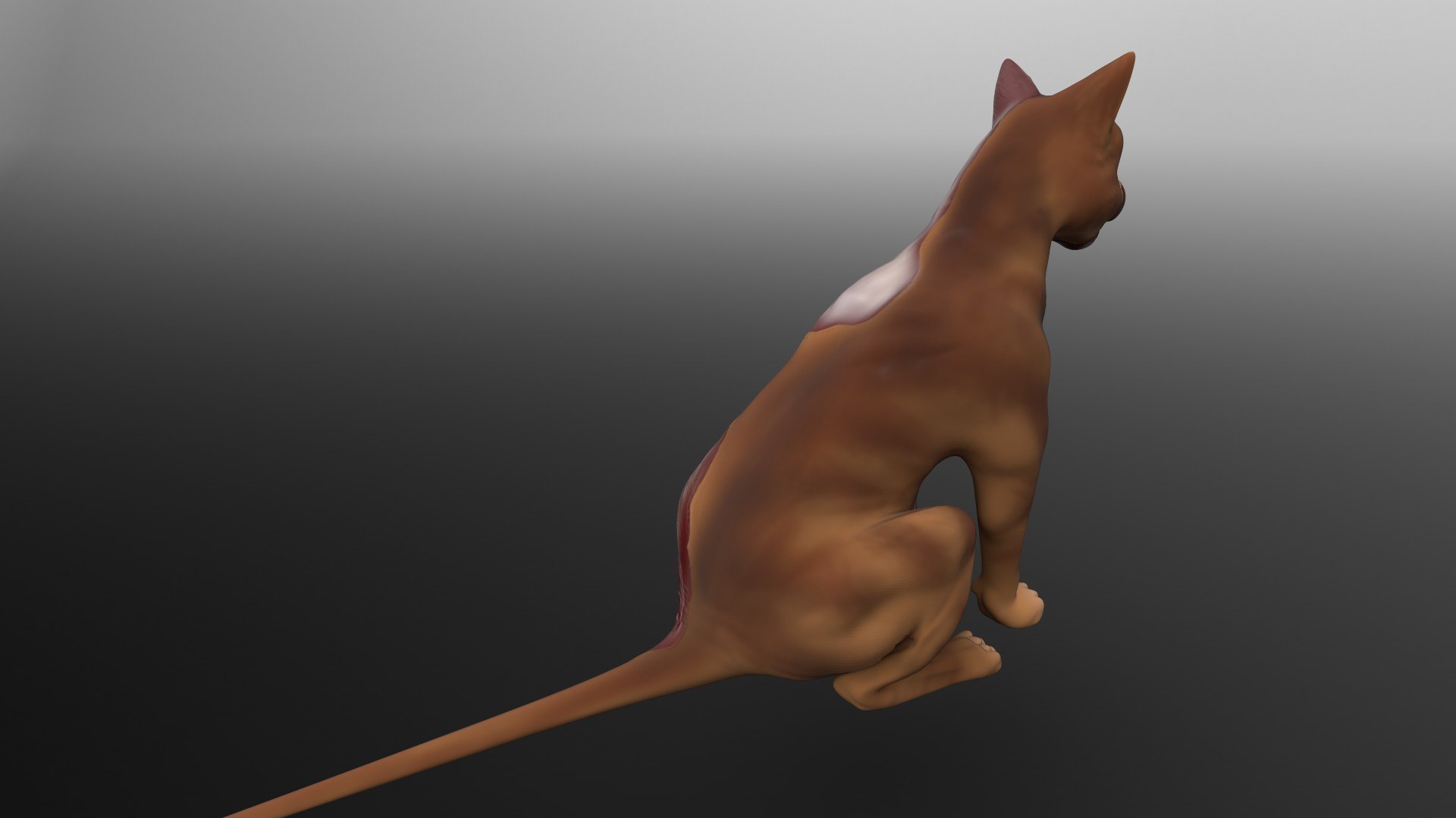 Zombie Cat 3D Model - TurboSquid 1372190