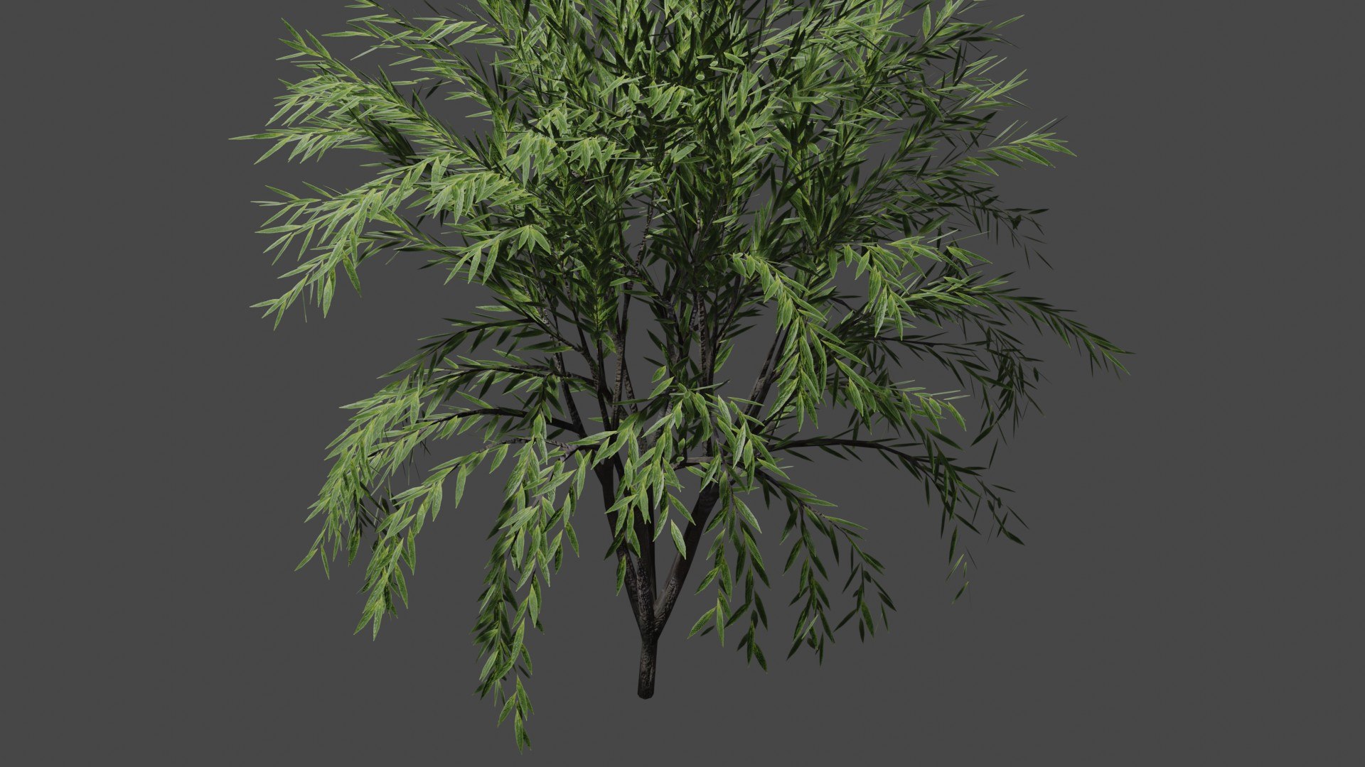 RealityKit-Tree 3D Model - TurboSquid 2007754