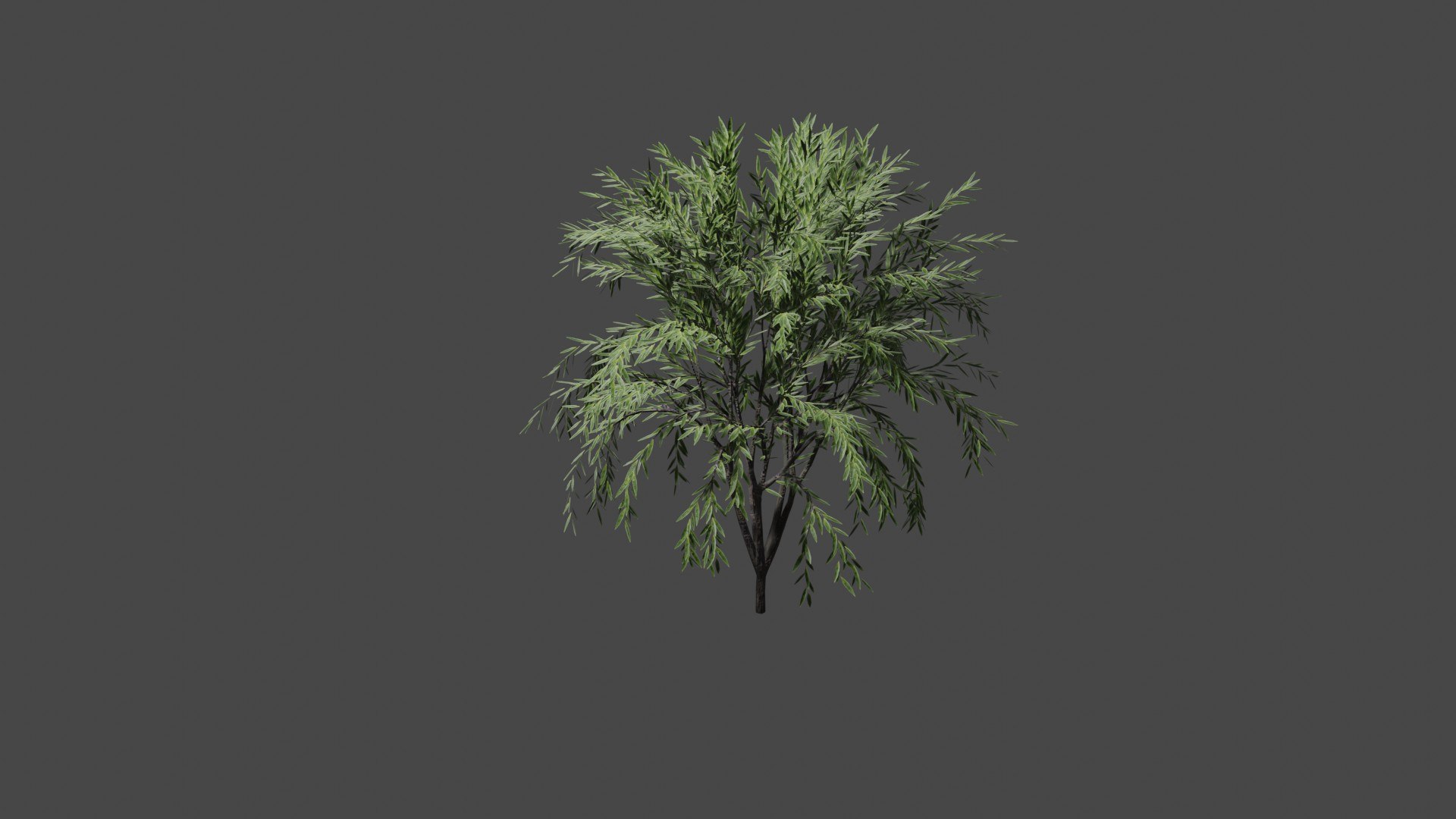 RealityKit-Tree 3D Model - TurboSquid 2007754