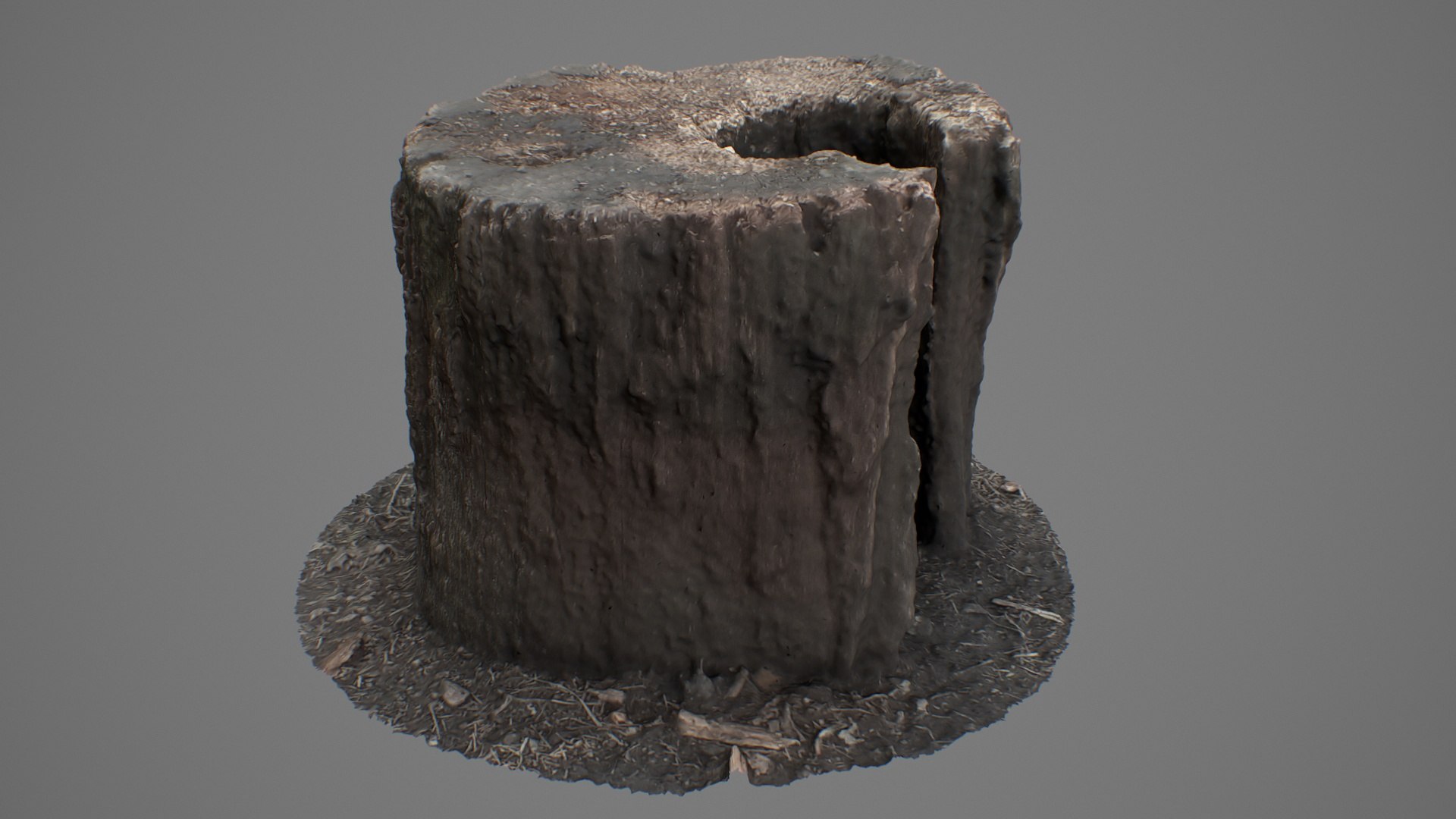 Tree Stump 3D Model - TurboSquid 1567650