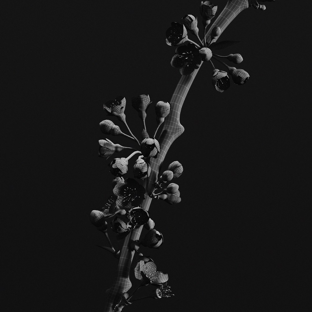 3D PBR ALUMINIUM VASES With CHERRY BRANCH By ZARA HOME Model ...