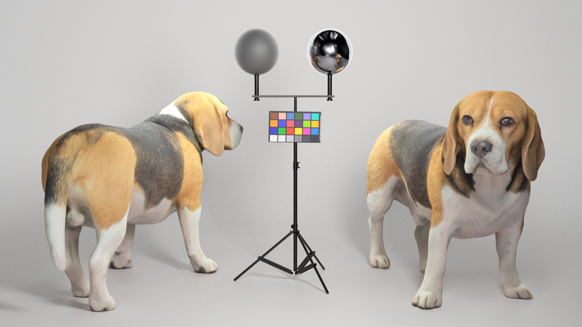 Pets Collection 01 3D model - TurboSquid 1919867