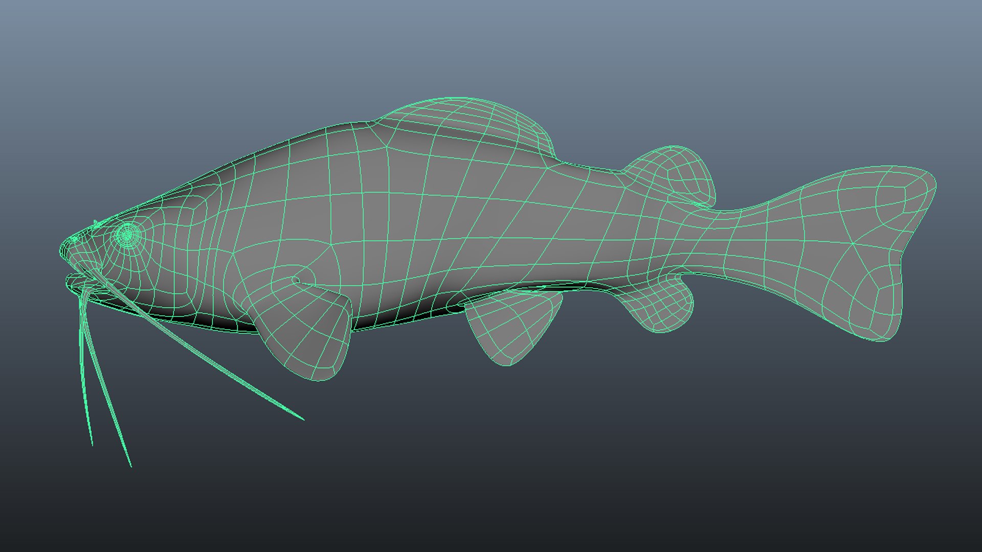 Catfish Collection 3D Model - TurboSquid 1810707