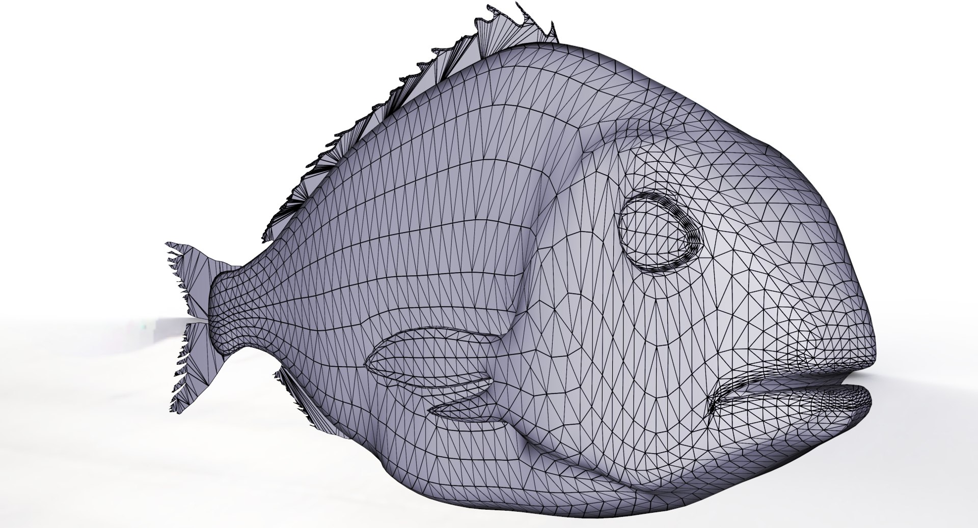 Realistic fish animate 3D - TurboSquid 1384940