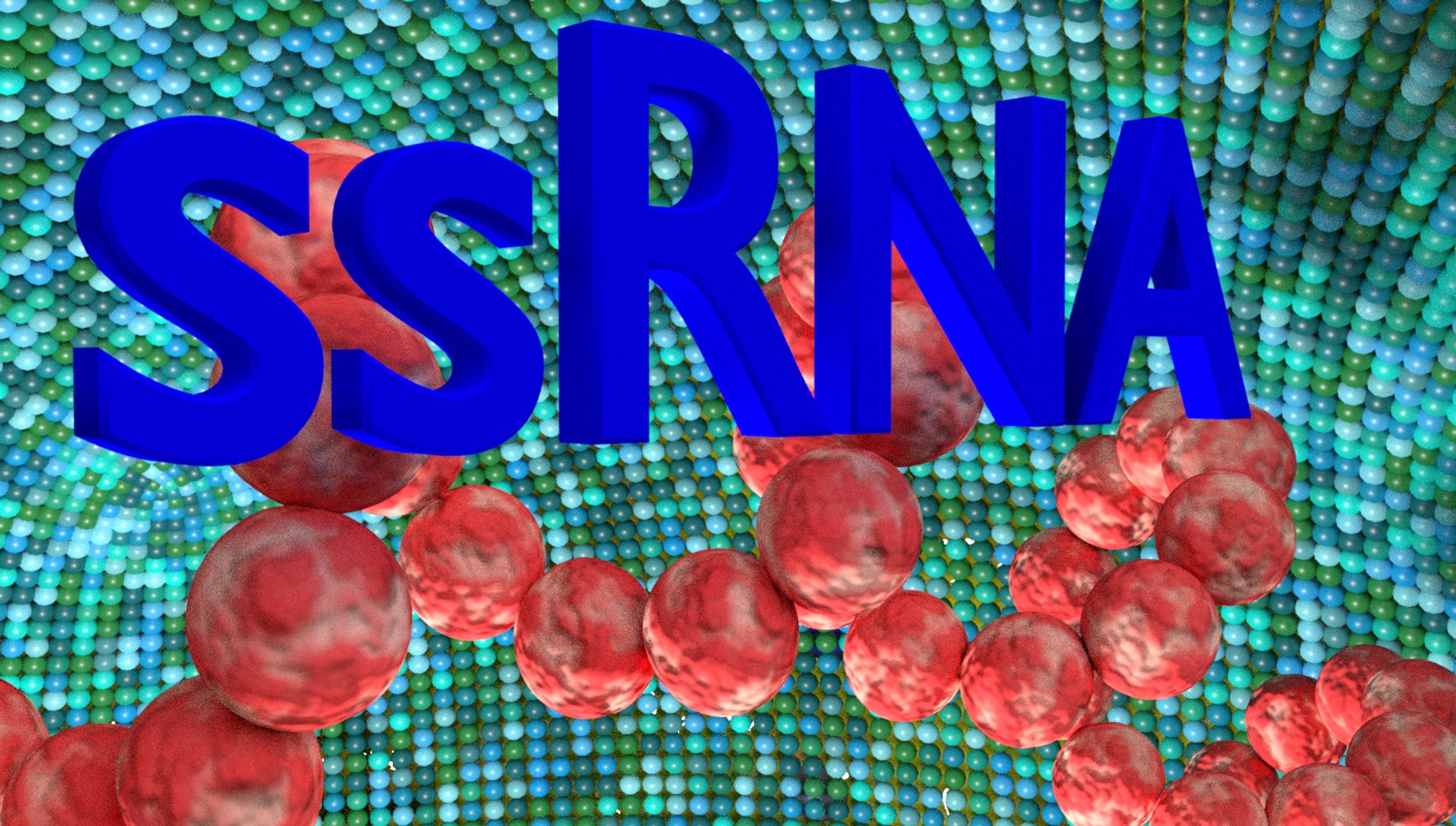 3D corona virus cut section model - TurboSquid 1564831